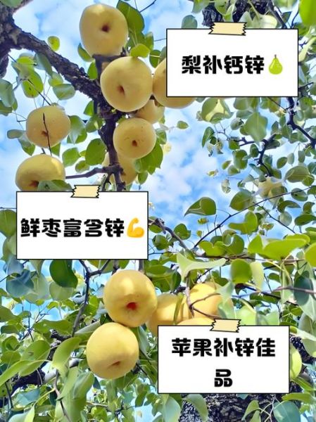 补锌水果之王_哪些水果含锌量最高-第1张图片-山城妙识