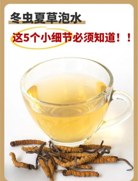 虫草泡水喝的正确方法_虫草泡水一次放几根-第1张图片-山城妙识