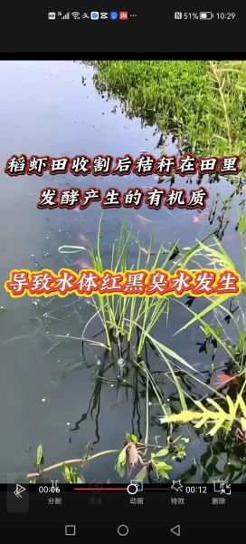 龙虾养殖技术视频全集_新手如何养龙虾-第2张图片-山城妙识