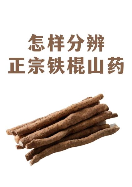 铁棍山药和淮山药的区别_哪个更好-第3张图片-山城妙识