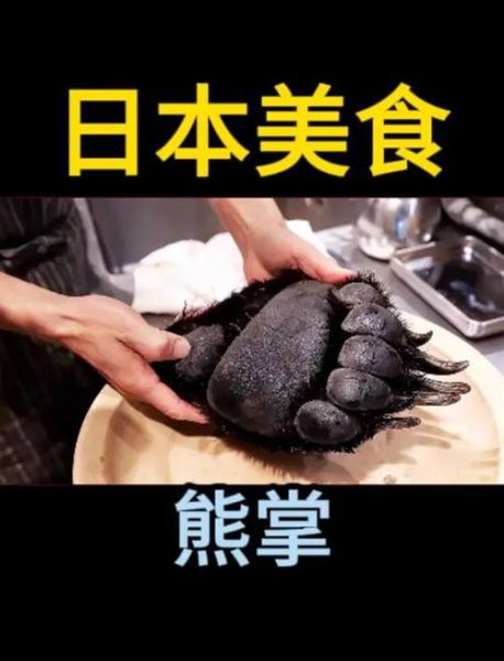 熊掌真的好吃吗_熊掌口感怎么样-第1张图片-山城妙识