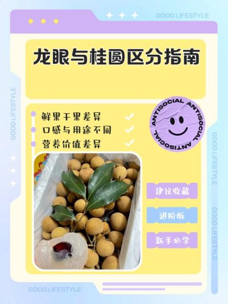 龙眼和桂圆的区别_龙眼是桂圆吗-第1张图片-山城妙识