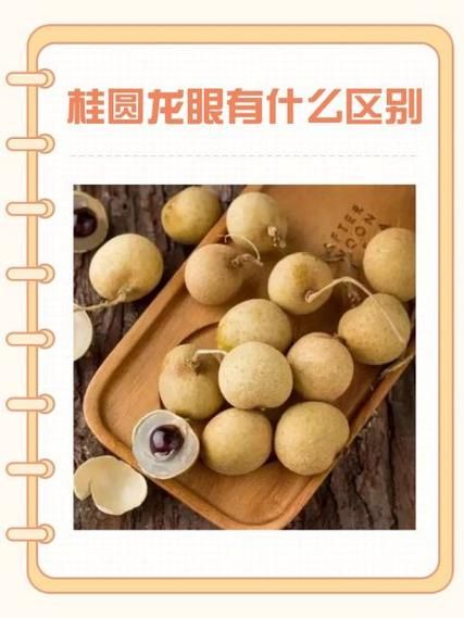 龙眼和桂圆的区别_龙眼是桂圆吗-第3张图片-山城妙识