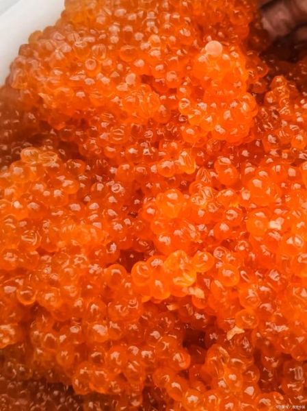 宝宝吃鱼籽的做法大全_宝宝多大可以吃鱼籽-第3张图片-山城妙识
