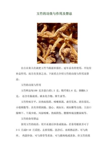 生玉竹的功效与作用_生玉竹怎么吃效果最好-第3张图片-山城妙识