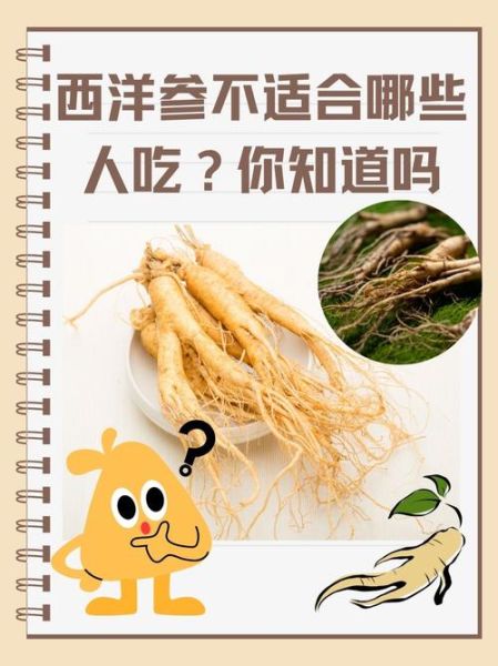 西洋参不能和什么一起吃_哪些人不能吃西洋参-第1张图片-山城妙识
