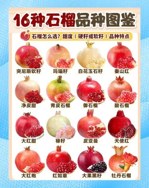 甜石榴的功效与作用_甜石榴怎么吃最养人-第1张图片-山城妙识