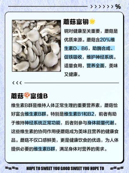 什么蘑菇最有营养价值_哪种蘑菇蛋白质最高-第3张图片-山城妙识