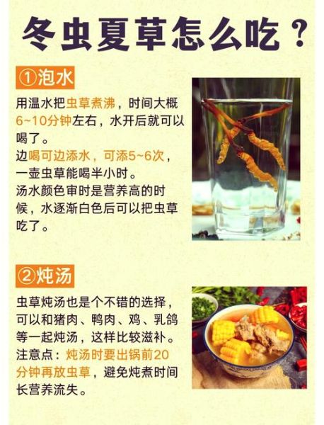 冬虫夏草的功效与作用_适合什么人吃-第1张图片-山城妙识 冬虫夏草的功效与作用_适合什么人吃-第1张图片-山城妙识