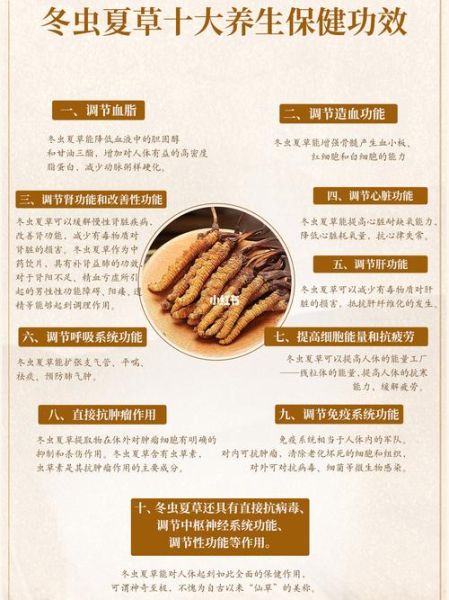 冬虫夏草的功效与作用_适合什么人吃-第2张图片-山城妙识 冬虫夏草的功效与作用_适合什么人吃-第2张图片-山城妙识