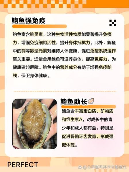 鲍鱼的功效与作用及营养禁忌_什么人不能吃鲍鱼-第3张图片-山城妙识
