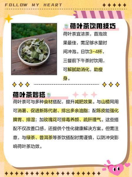 荷叶茶越喝越胖怎么回事_荷叶茶减肥无效原因-第1张图片-山城妙识