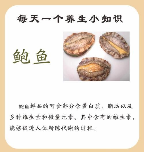 鲍鱼的功效与作用及营养禁忌_什么人不能吃鲍鱼-第1张图片-山城妙识