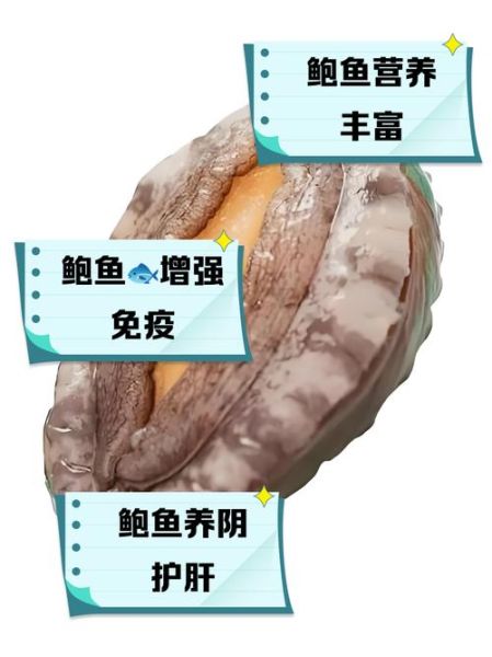 鲍鱼的功效与作用及营养禁忌_什么人不能吃鲍鱼-第2张图片-山城妙识