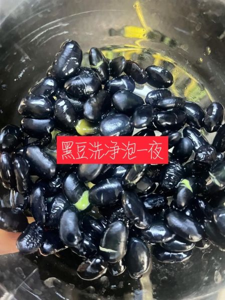 黑豆泡多久有毒_泡黑豆安全时间-第2张图片-山城妙识