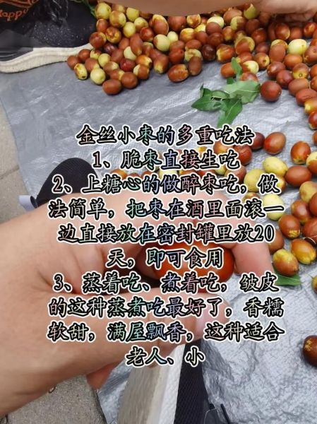 金丝小枣多少钱一斤_2024最新价格行情-第2张图片-山城妙识
