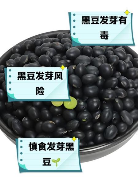 黑豆泡多久有毒_泡黑豆安全时间-第3张图片-山城妙识