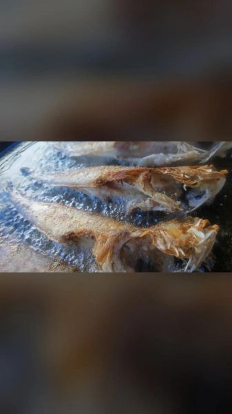 香煎凤尾鱼怎么腌制_凤尾鱼腌制多久入味-第1张图片-山城妙识 香煎凤尾鱼怎么腌制_凤尾鱼腌制多久入味-第1张图片-山城妙识