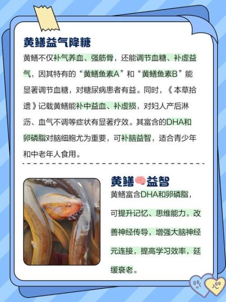 鳝鱼养殖吃什么饲料_鳝鱼饲料配方大全-第3张图片-山城妙识