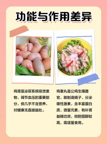 鸡腰子是鸡睾丸吗_鸡腰子和鸡睾丸的区别-第1张图片-山城妙识