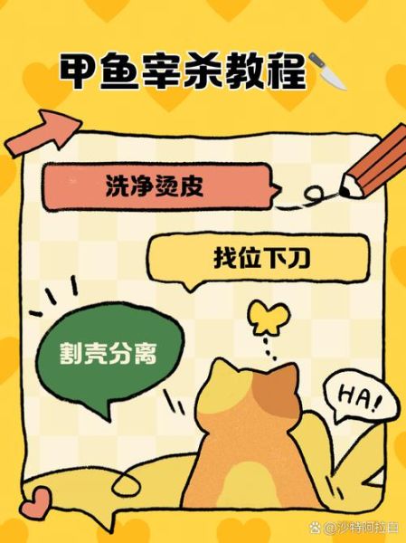 甲鱼怎么杀_甲鱼宰杀后怎么处理-第3张图片-山城妙识