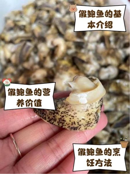 假鲍鱼的家常做法_假鲍鱼怎么做才好吃-第1张图片-山城妙识