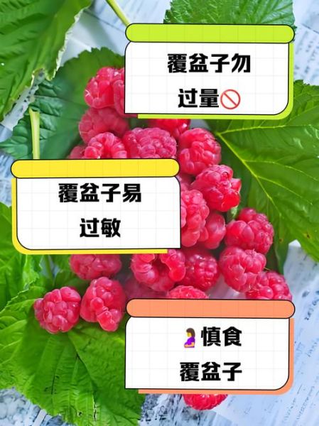 覆盆子哪些人不能吃_覆盆子禁忌人群-第3张图片-山城妙识