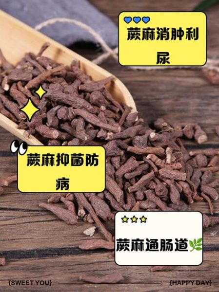 蕨麻不适合什么人吃_哪些人不能吃蕨麻-第2张图片-山城妙识