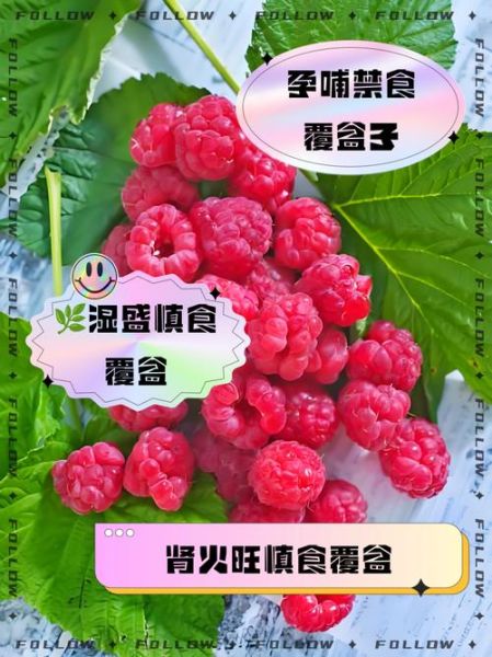 覆盆子哪些人不能吃_覆盆子禁忌人群-第1张图片-山城妙识