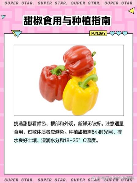 甜椒辣吗_甜椒和辣椒区别-第2张图片-山城妙识
