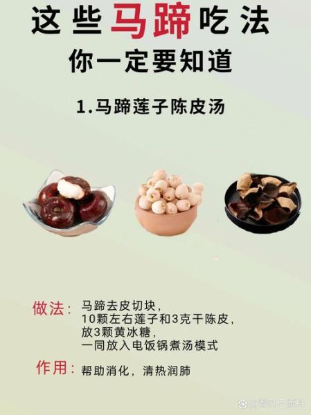 马蹄相克食物有哪些_马蹄不能和什么一起吃-第3张图片-山城妙识