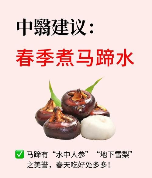 马蹄相克食物有哪些_马蹄不能和什么一起吃-第2张图片-山城妙识