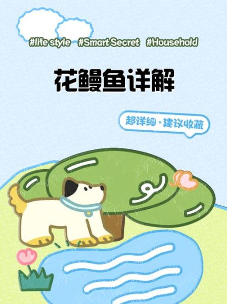花鳗怎么养_花鳗和鳗鱼区别-第1张图片-山城妙识
