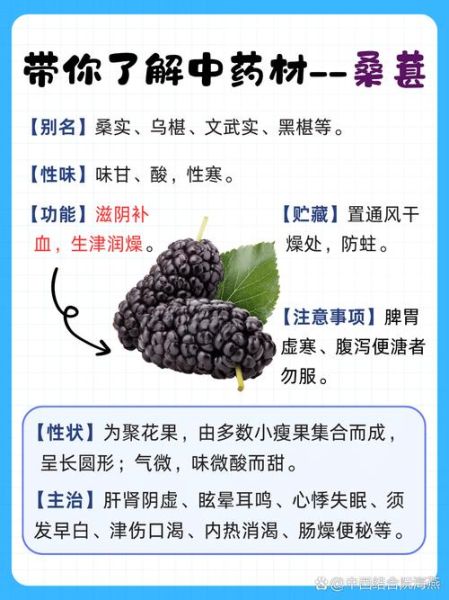 桑葚吃多了有什么坏处_桑葚一天吃多少合适-第1张图片-山城妙识