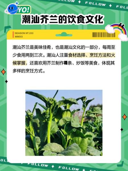 芥兰笋和芥兰的区别_哪个更好吃-第3张图片-山城妙识