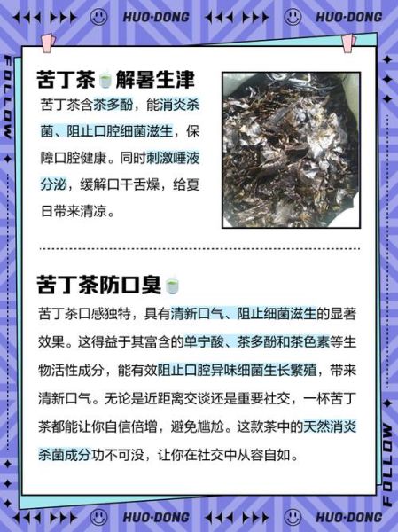 苦丁茶喝了有什么效果_苦丁茶的功效与作用-第1张图片-山城妙识
