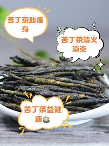苦丁茶喝了有什么效果_苦丁茶的功效与作用-第3张图片-山城妙识