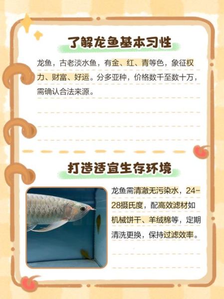 龙鱼怎么养_龙鱼喂养技巧-第3张图片-山城妙识