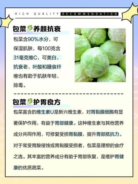 包菜的功效与作用禁忌_什么人不能吃包菜-第1张图片-山城妙识