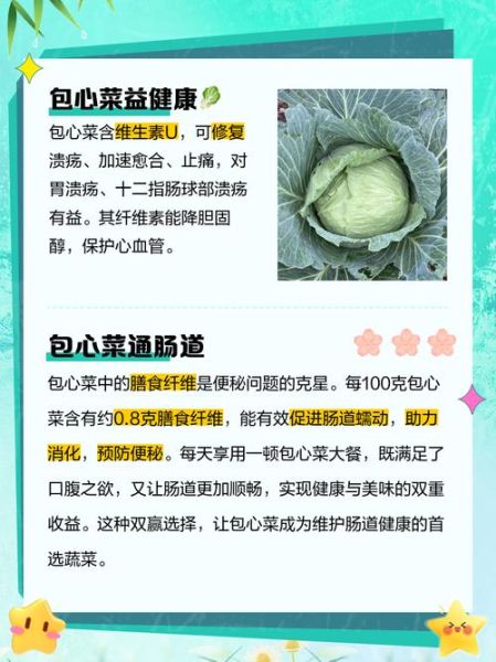 包菜的功效与作用禁忌_什么人不能吃包菜-第3张图片-山城妙识
