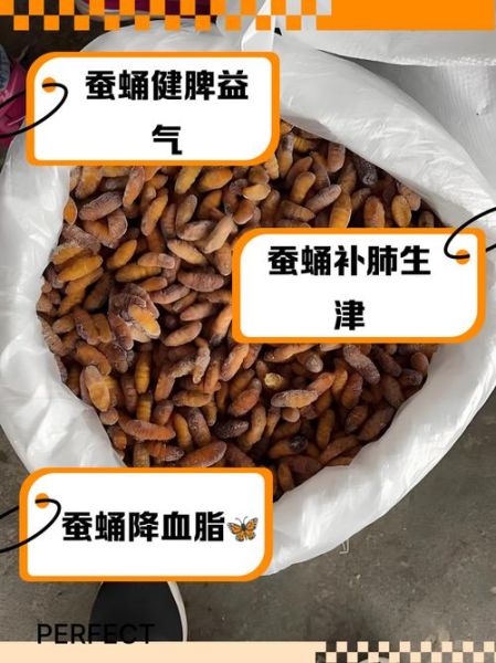 蚕蛹能抗肿瘤吗_蚕蛹抗癌是真的吗-第1张图片-山城妙识