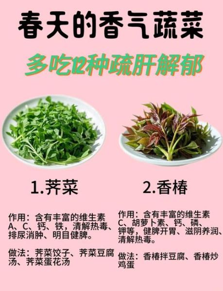 香菜的功效与作用有哪些_香菜怎么吃最健康-第3张图片-山城妙识