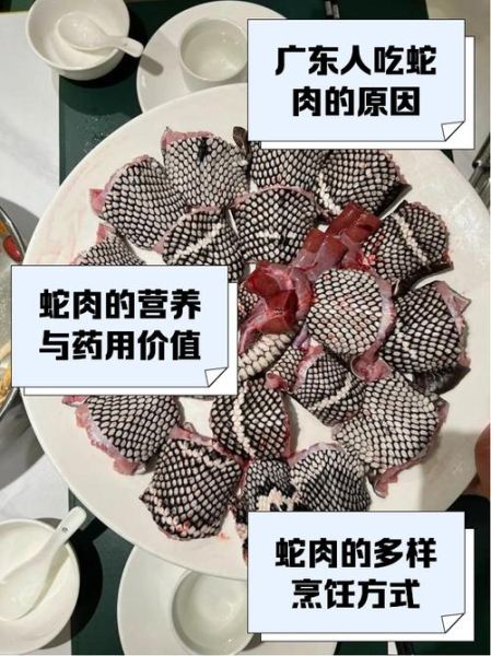 蛇肉怎么烧好吃_蛇肉做法大全-第1张图片-山城妙识