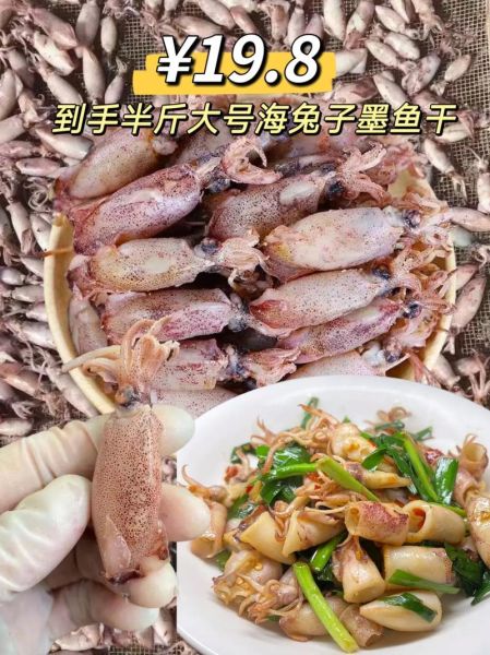 海兔怎么清洗_海兔清洗视频教程-第1张图片-山城妙识