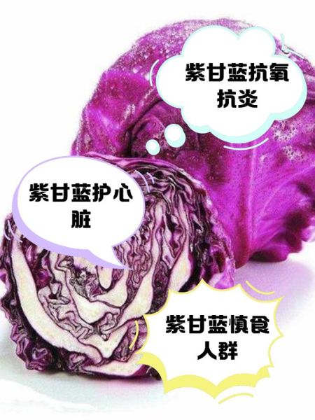 生吃紫甘蓝有什么坏处_紫甘蓝生吃会拉肚子吗-第1张图片-山城妙识