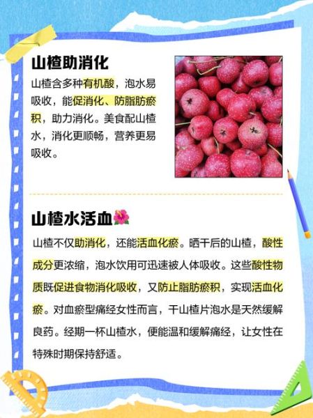 女人喝干山楂泡水的好处_山楂干泡水能减肥吗-第2张图片-山城妙识