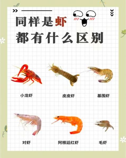 海螯虾怎么挑选_海螯虾和龙虾的区别-第2张图片-山城妙识