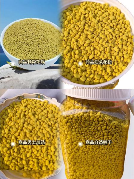 油菜花粉能提高性功能吗_油菜花粉对男性性功能作用-第1张图片-山城妙识