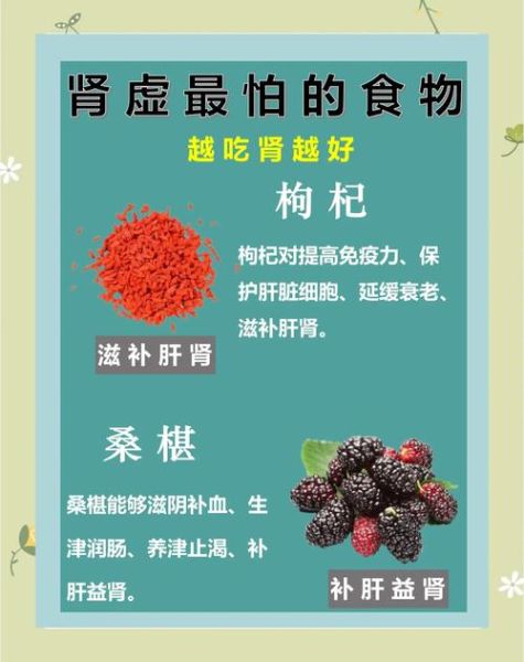 肾虚吃什么好调养_肾虚饮食禁忌有哪些-第1张图片-山城妙识