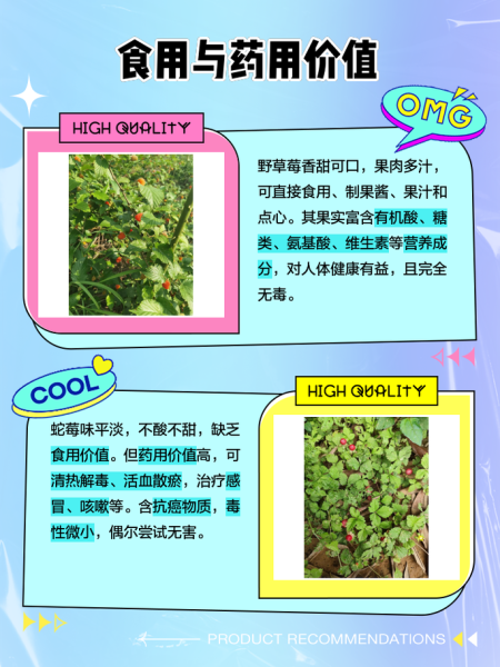 野草莓可以吃吗_野草莓和蛇莓的区别-第1张图片-山城妙识